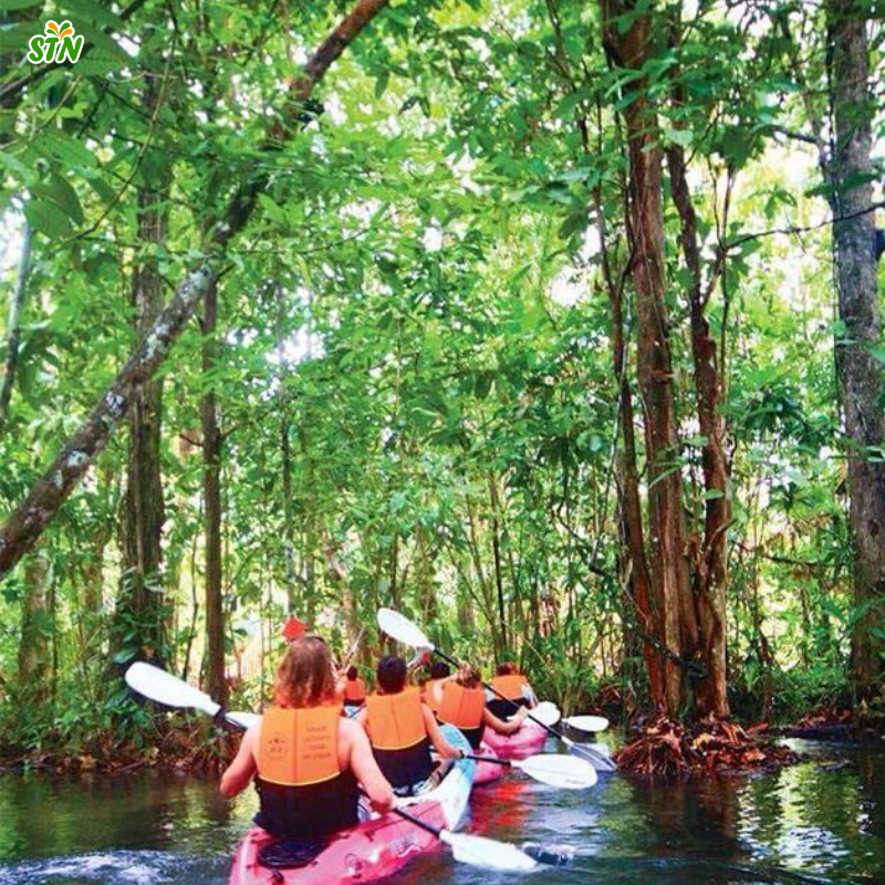 ทัวร์ พายเรือคายัค กระบี่ คลองหรูด/คลองน้ำใส - โปรโมชั่น 800 บาท ทัวร์ ...