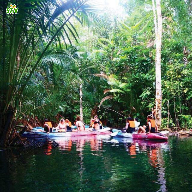 ทัวร์ พายเรือคายัค กระบี่ คลองหรูด/คลองน้ำใส - โปรโมชั่น 800 บาท ทัวร์ ...